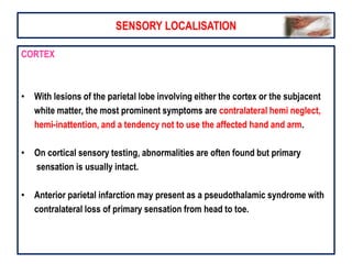 Sensory system examination | PPTX