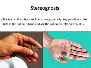 sensory system examination OF PATIENT IN HOSPITAL | PPTX