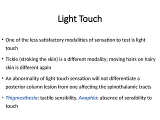 sensory system examination OF PATIENT IN HOSPITAL | PPTX