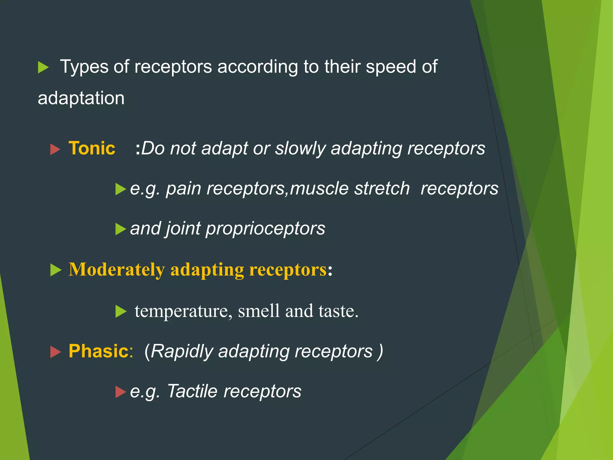 physiology of Sensory nervous system, updated 2021 | PPTX