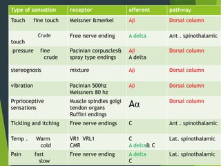 physiology of Sensory nervous system, updated 2021 | PPTX