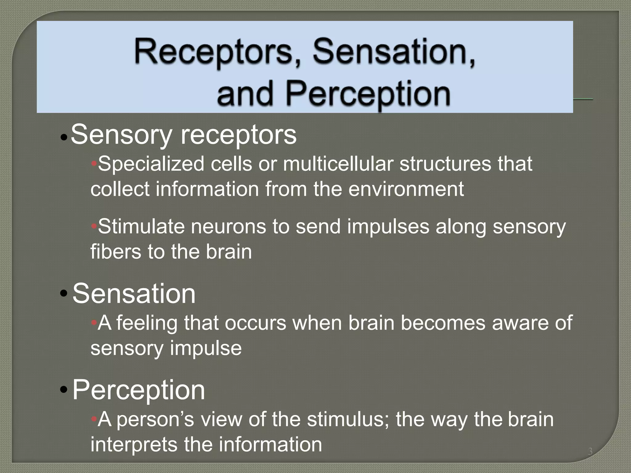 Sensory system review | PPTX
