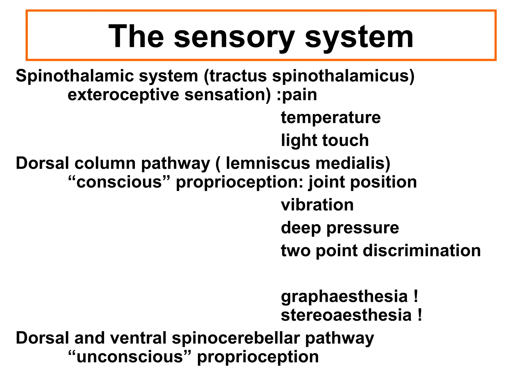 Sensory system assessment - Sensory system assessment | PPT