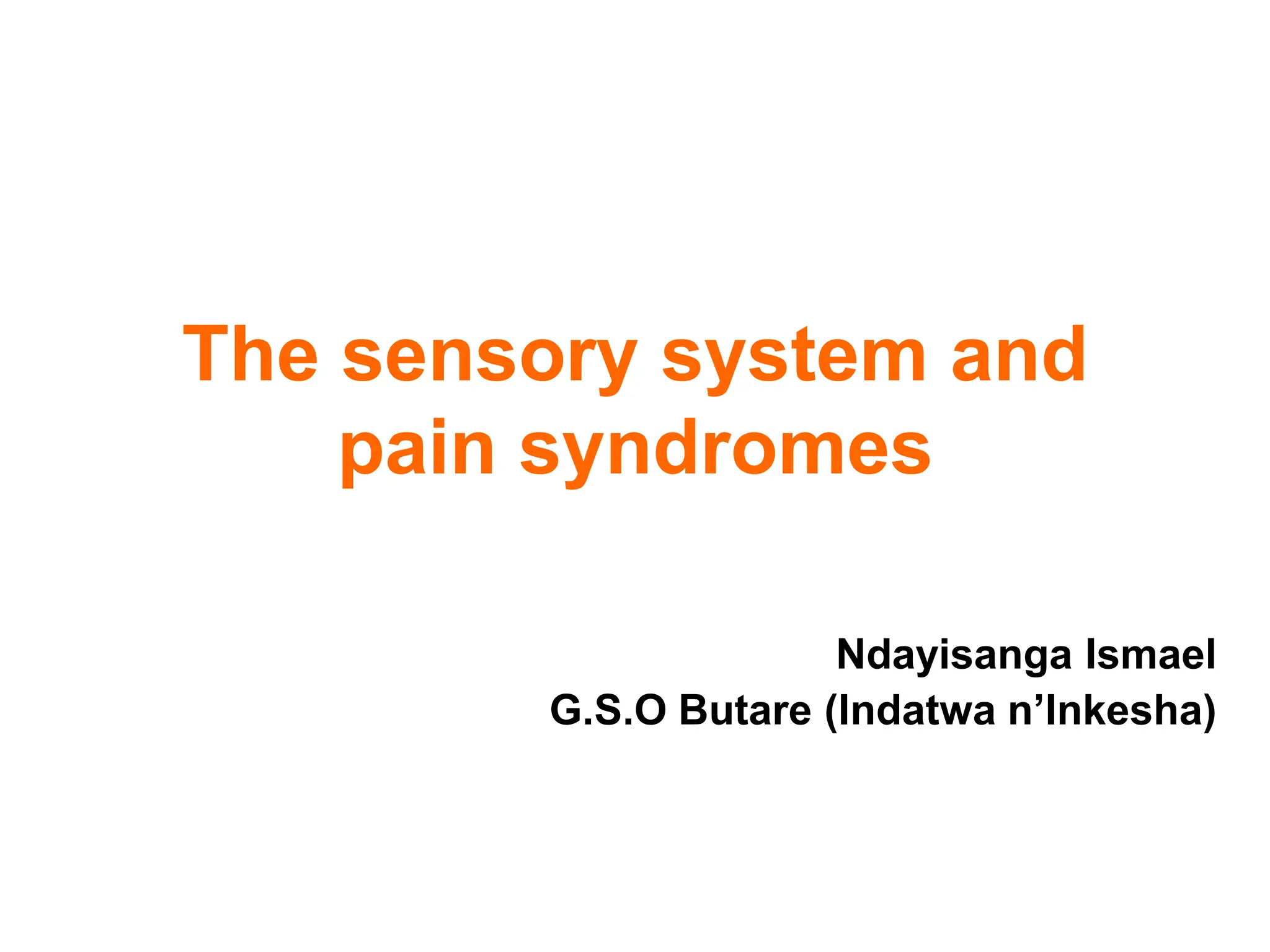 Sensory system assessment - Sensory system assessment | PPT