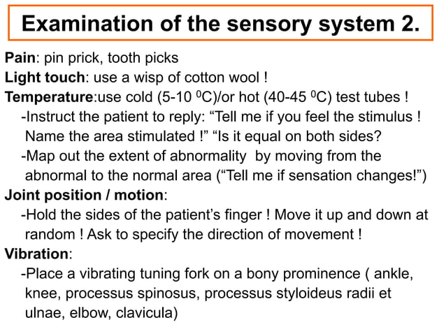 Sensory system assessment - Sensory system assessment | PPT