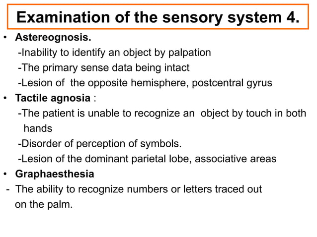 Sensory system assessment - Sensory system assessment | PPT