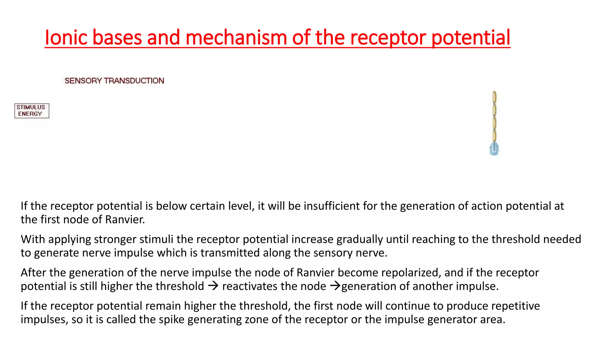 Sensory system receptors.hussein f.sakr
