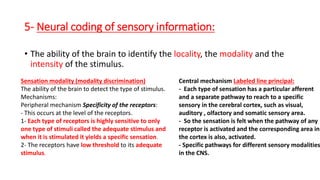 Sensory system receptors.hussein f.sakr