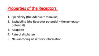 Sensory system receptors.hussein f.sakr