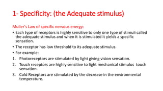 Sensory system receptors.hussein f.sakr