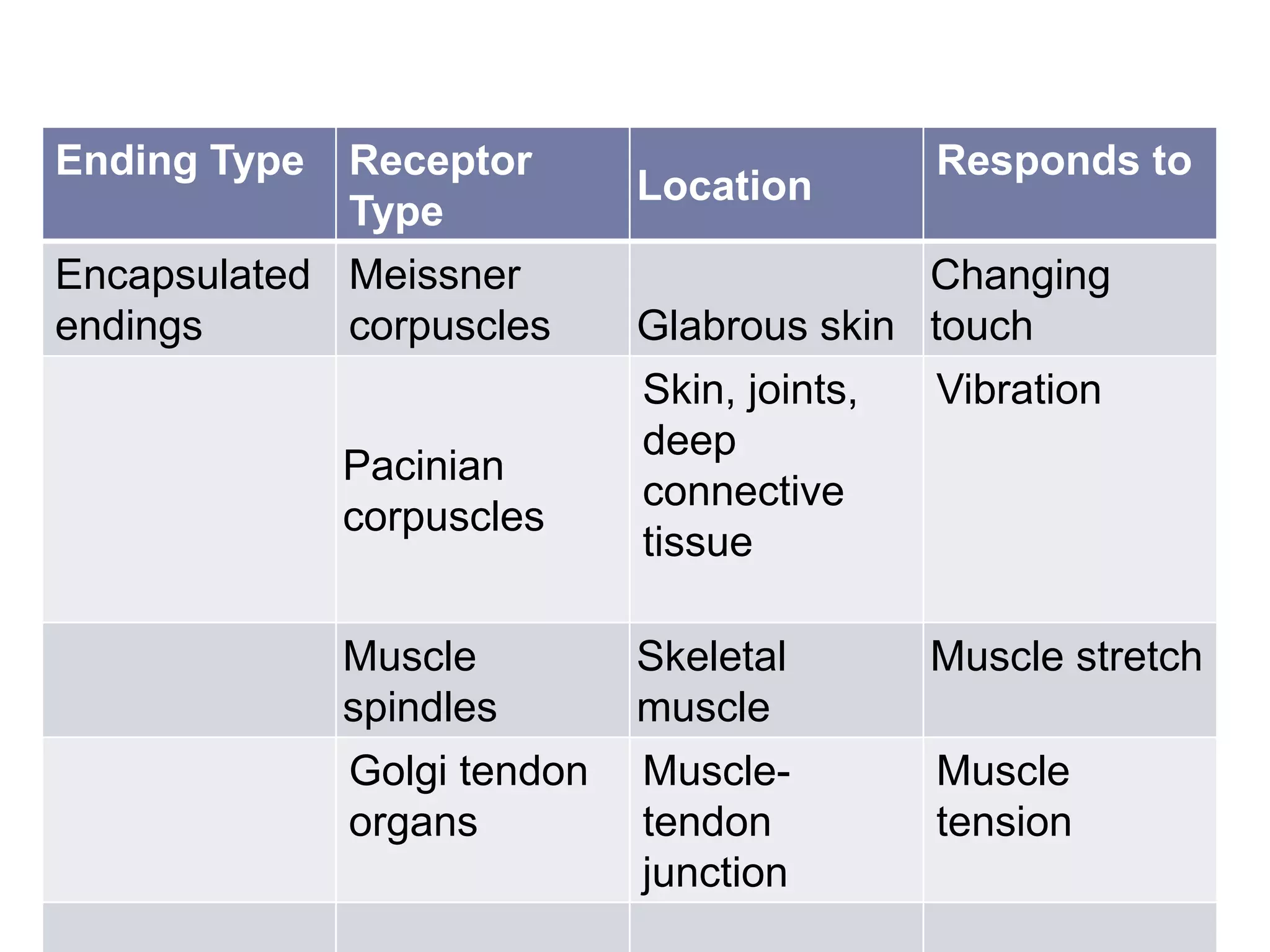 Sensory systems by DR.ARSHAD | PPTX