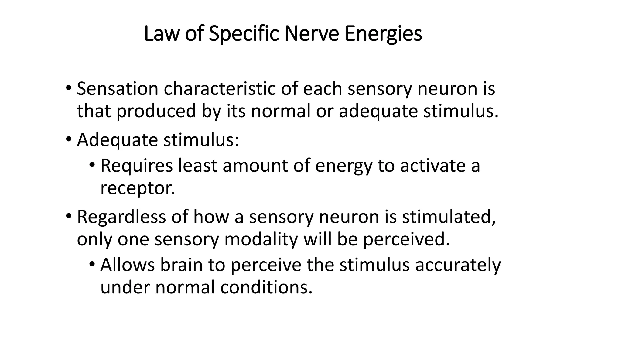 Sensory Systems.pptx