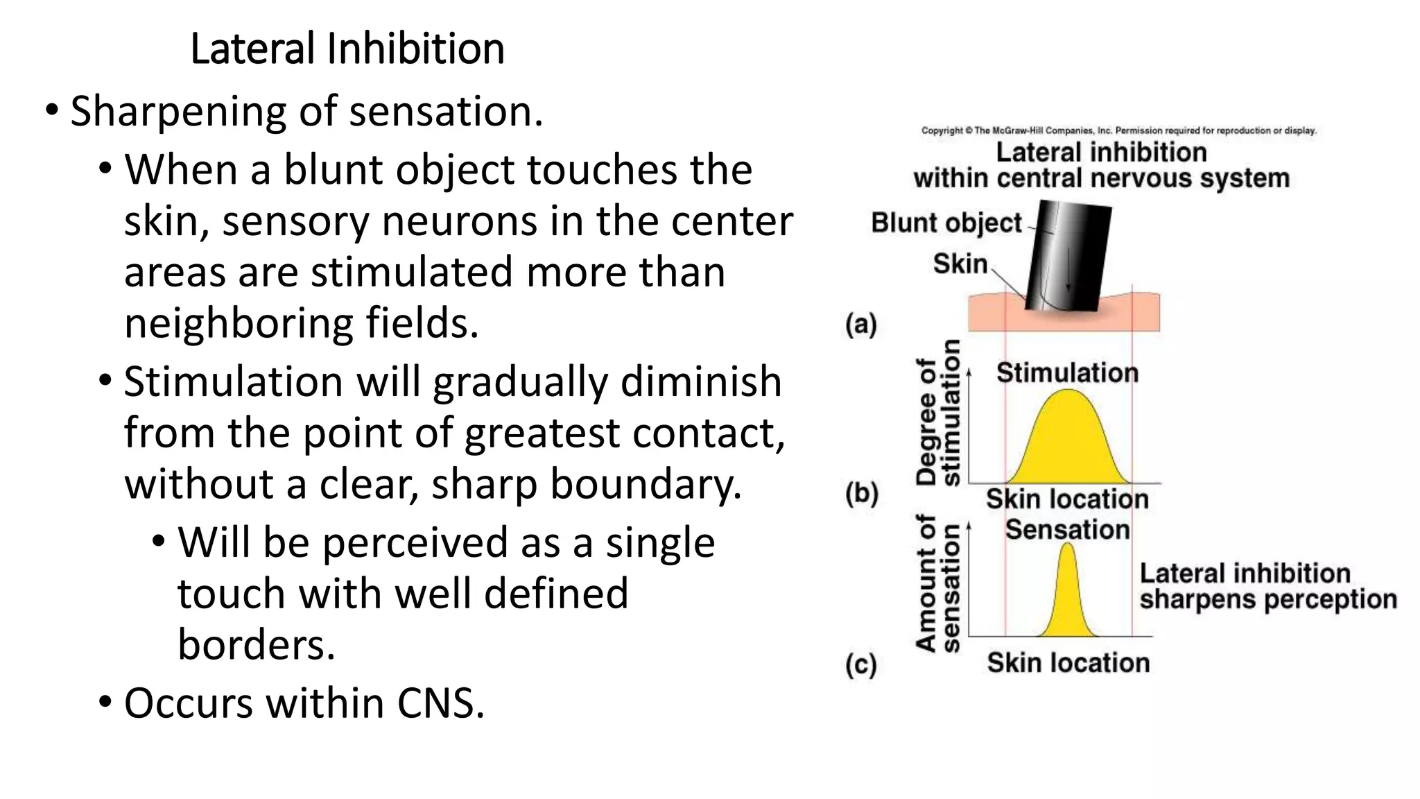 Sensory Systems.pptx