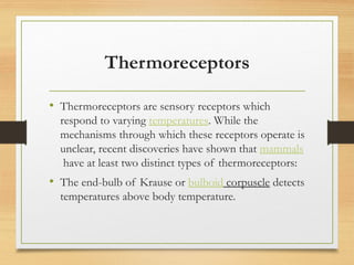 Sensory systems.pptxinjijihujijkhouhohou hi j | PPTX