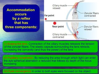 Sensory systems 2 | PPT