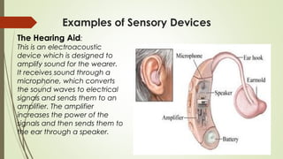 Sensory systems instrumentation | PPT