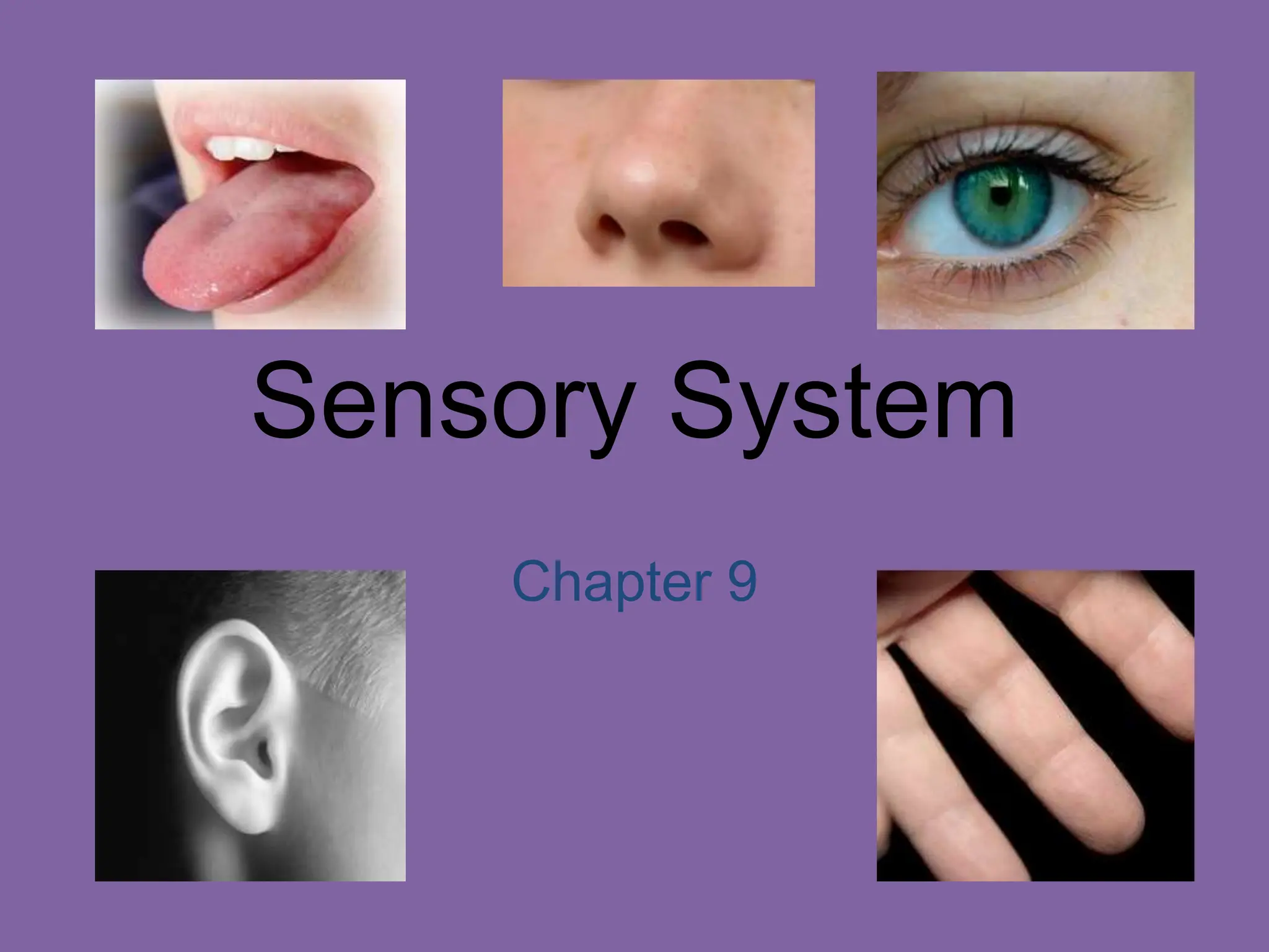 sensory_systems chapter 9 for medical physiology | PPTX