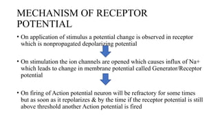 SENSORY TRANSDUCTION IN SKIN & PROPERTIES OF RECEPTOR (2).pptx