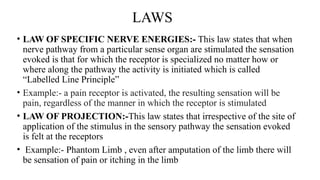 SENSORY TRANSDUCTION IN SKIN & PROPERTIES OF RECEPTOR (2).pptx