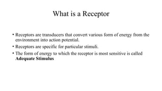 SENSORY TRANSDUCTION IN SKIN & PROPERTIES OF RECEPTOR (2).pptx