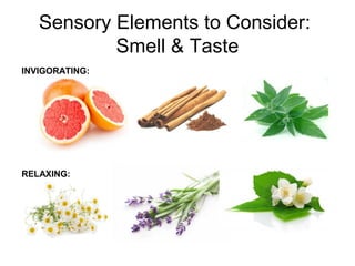 Creating a Sensational Workplace Through the Senses! | PPT