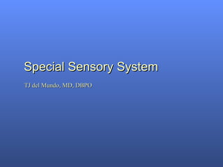 Special Sensory System | PPT
