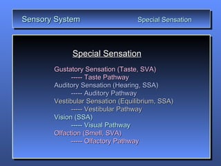 Special Sensory System | PPT