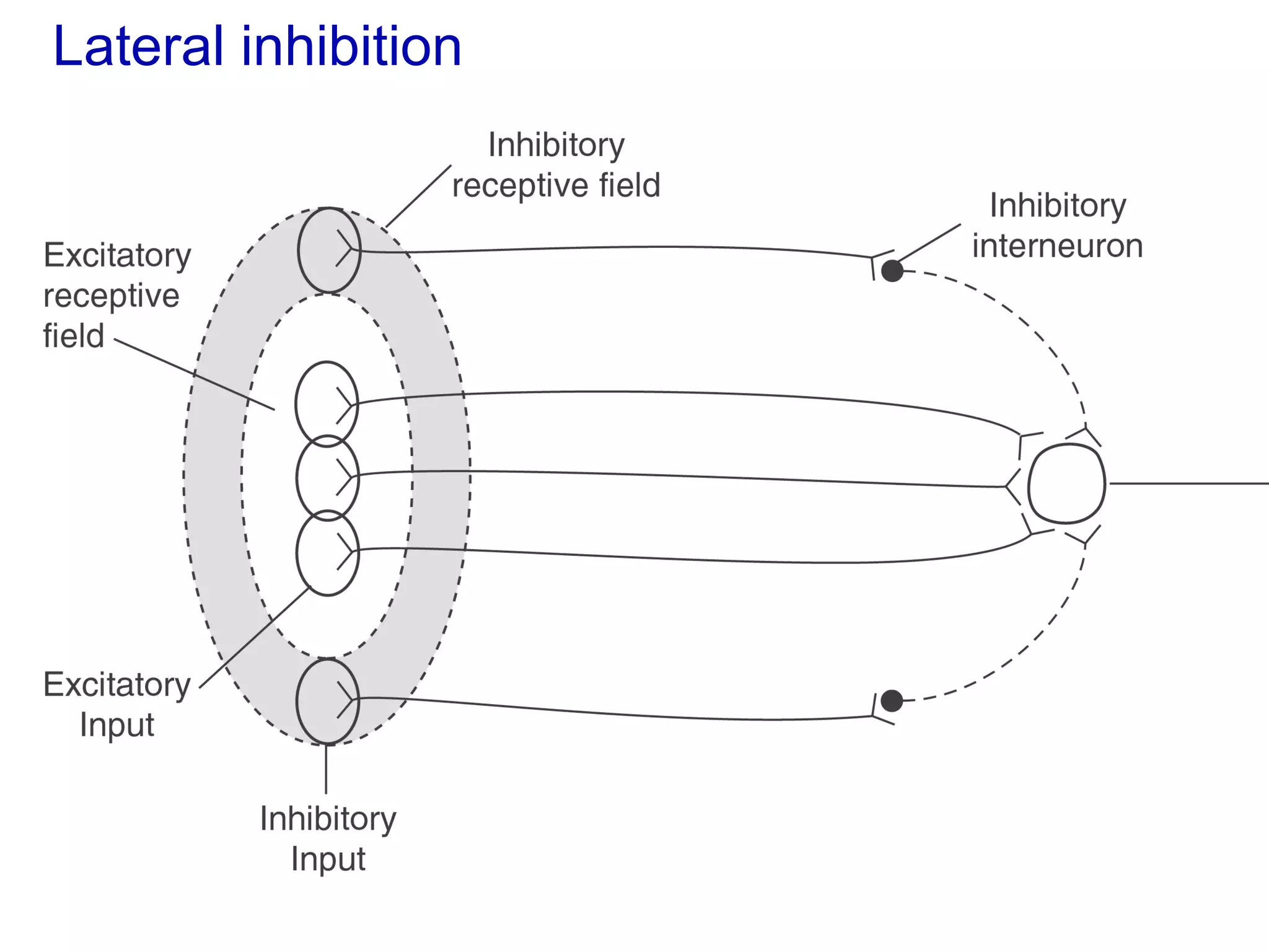 SENSORY SYSTEM AND DISORDERS | PPT