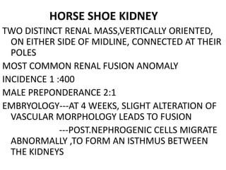 A Case of Horse-shoe Kidney | PPTX