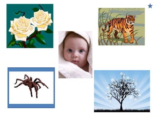 ESL Class Creative sentences | PPT