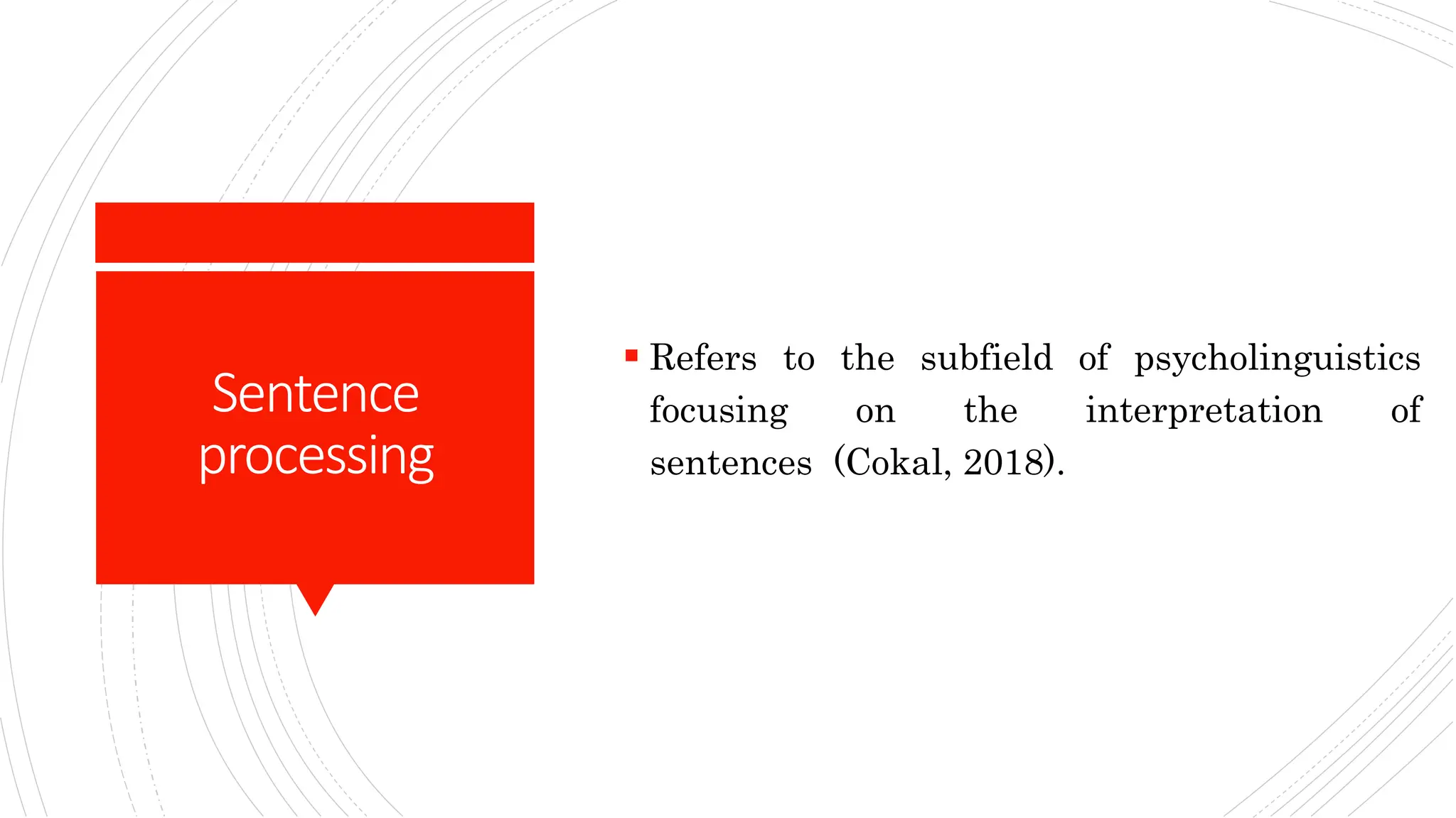 Sentence Processing by Muhammad Saleem.pptx