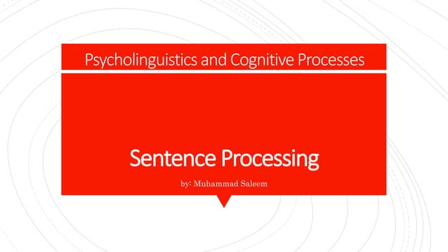 Sentence Processing by Muhammad Saleem.pptx