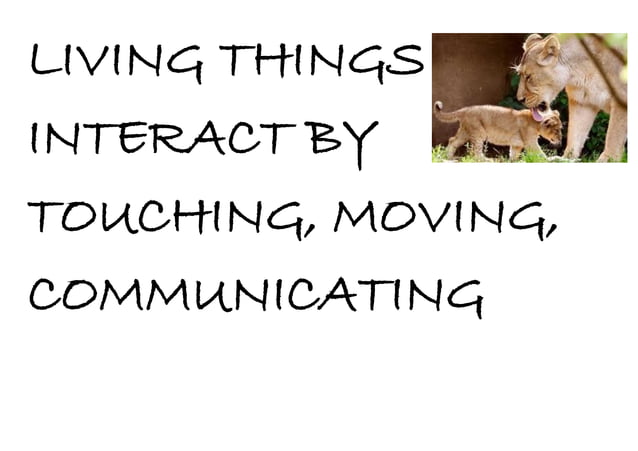 Sentences living things (1) | PDF