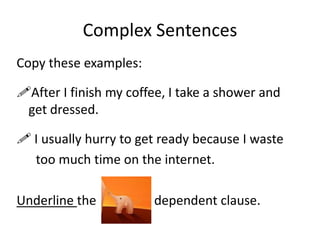 Sentence types | PPT
