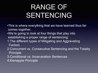 The Sentencing Hearing | PPTX