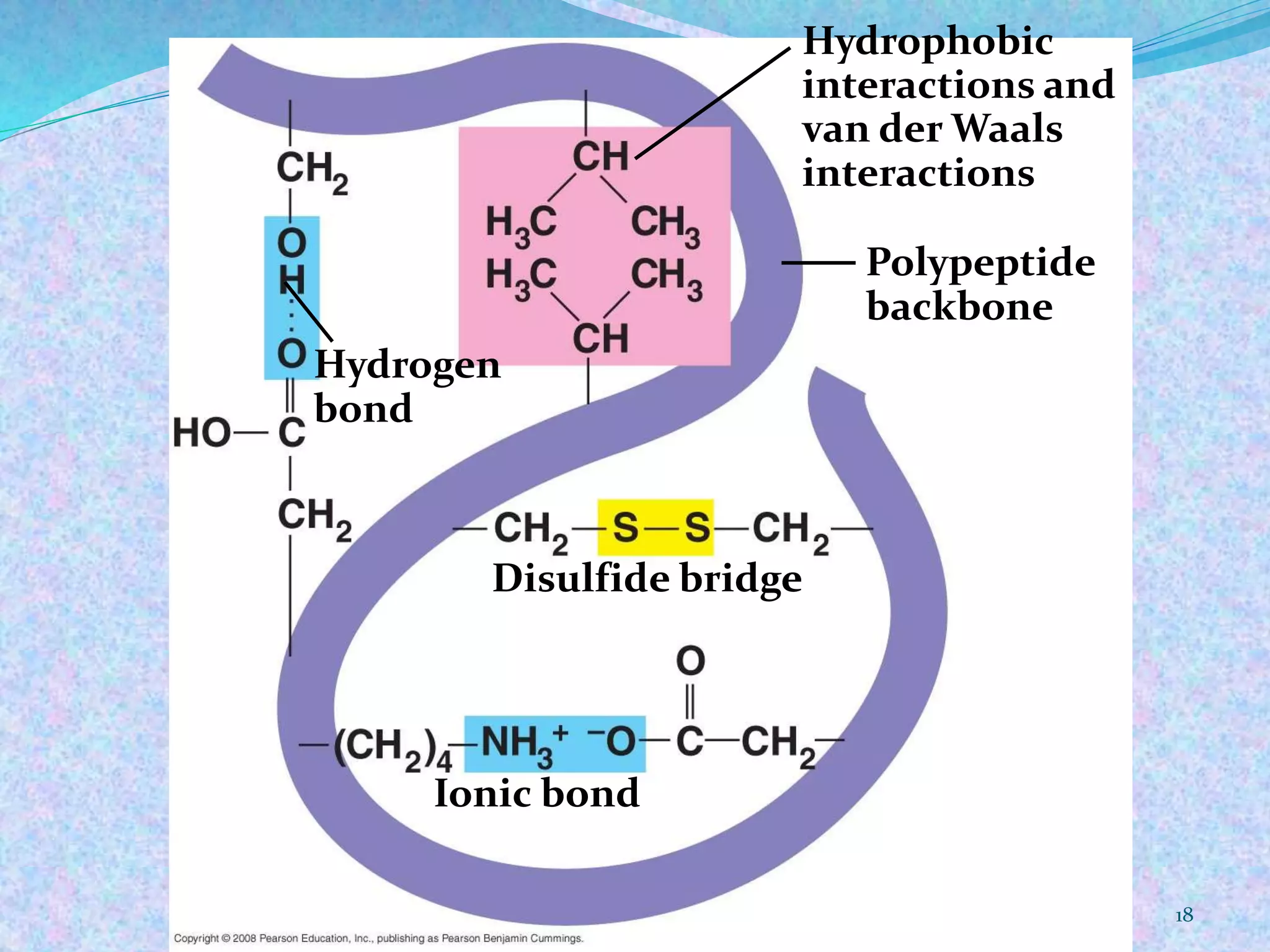 Proteomics and protein-protein interaction | PPTX