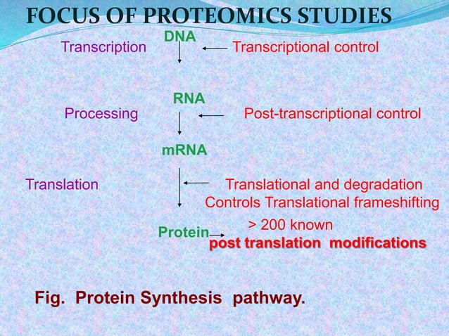 Proteomics and protein-protein interaction | PPTX