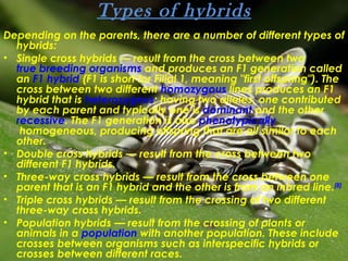 tissue culture hybridization | PPT