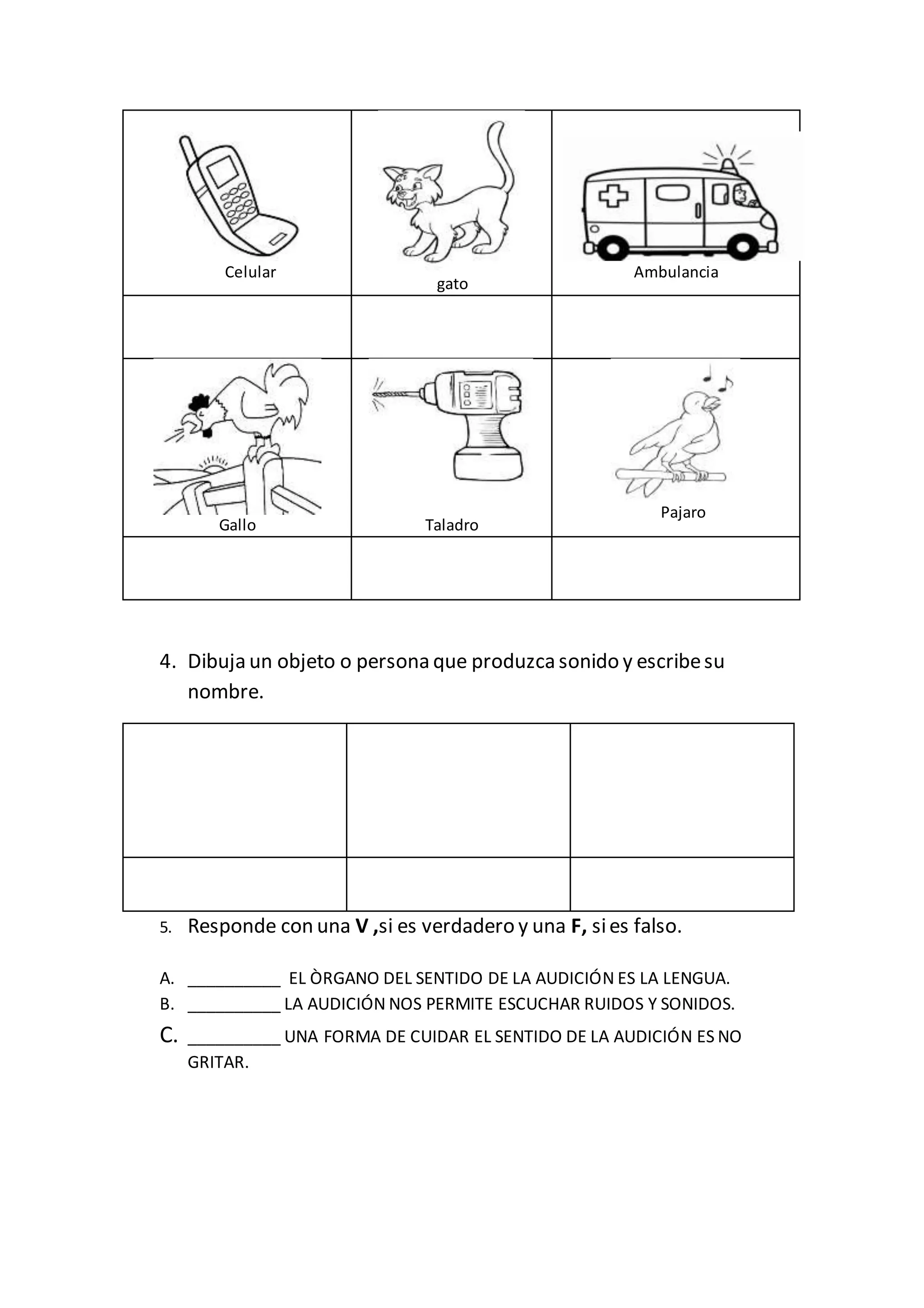 Sentido de audición 1º básico los sentidos | PDF