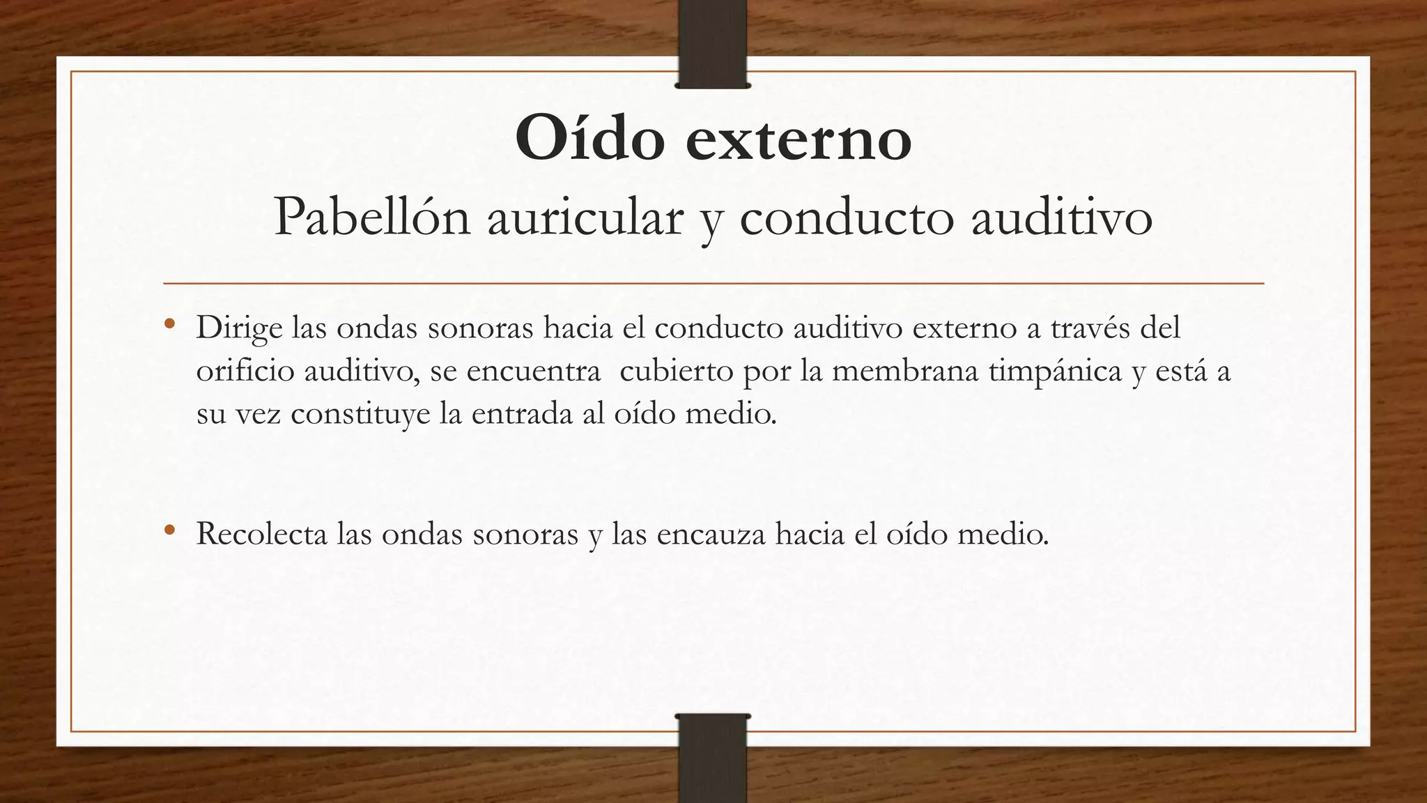 Sentido de la audición Fisiología General | PPTX | Ear, Nose and Throat ...