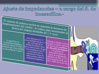 El Sentido de la Audicion | PPT