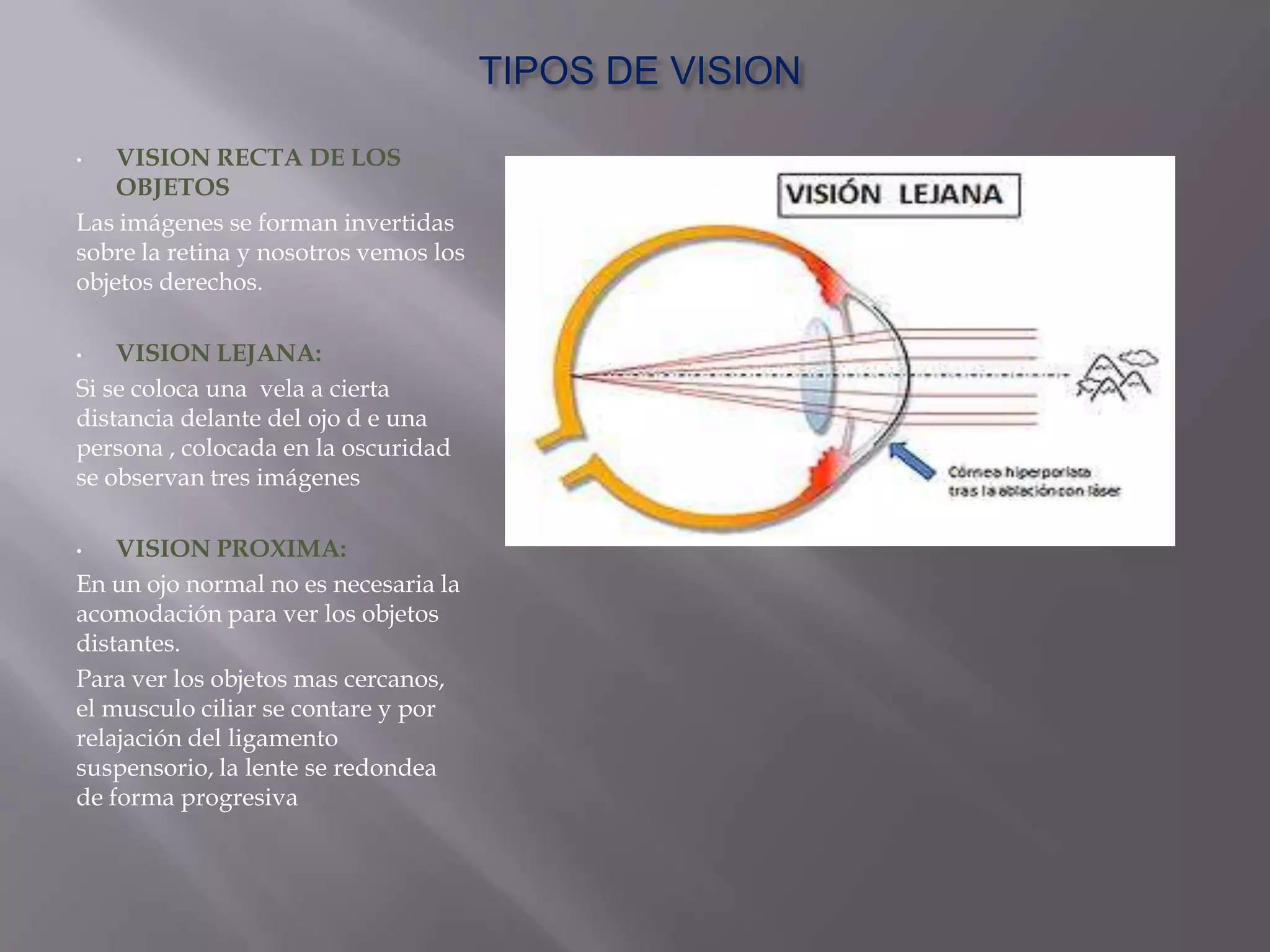 Sentido de la vista por Cristina Ruiz | PPTX