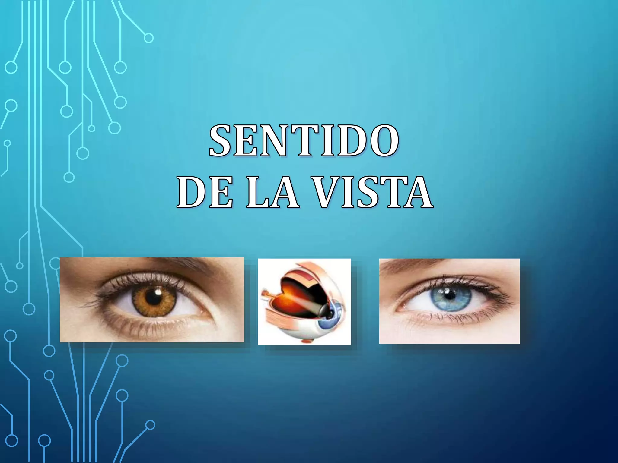 sentido de la vista.pptx