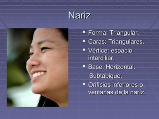 Sentido del olfato | PPT