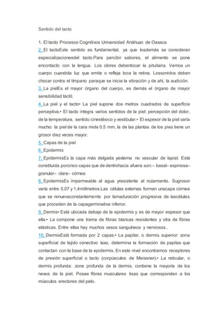 Sentido del tacto | DOCX
