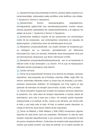 Sentido del tacto | DOCX
