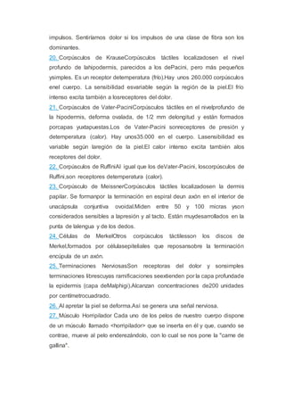 Sentido del tacto | DOCX