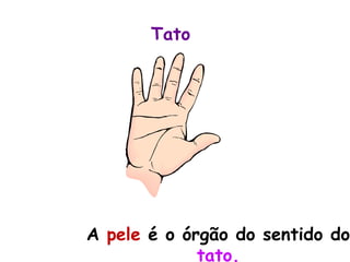 Sentidos | PPT