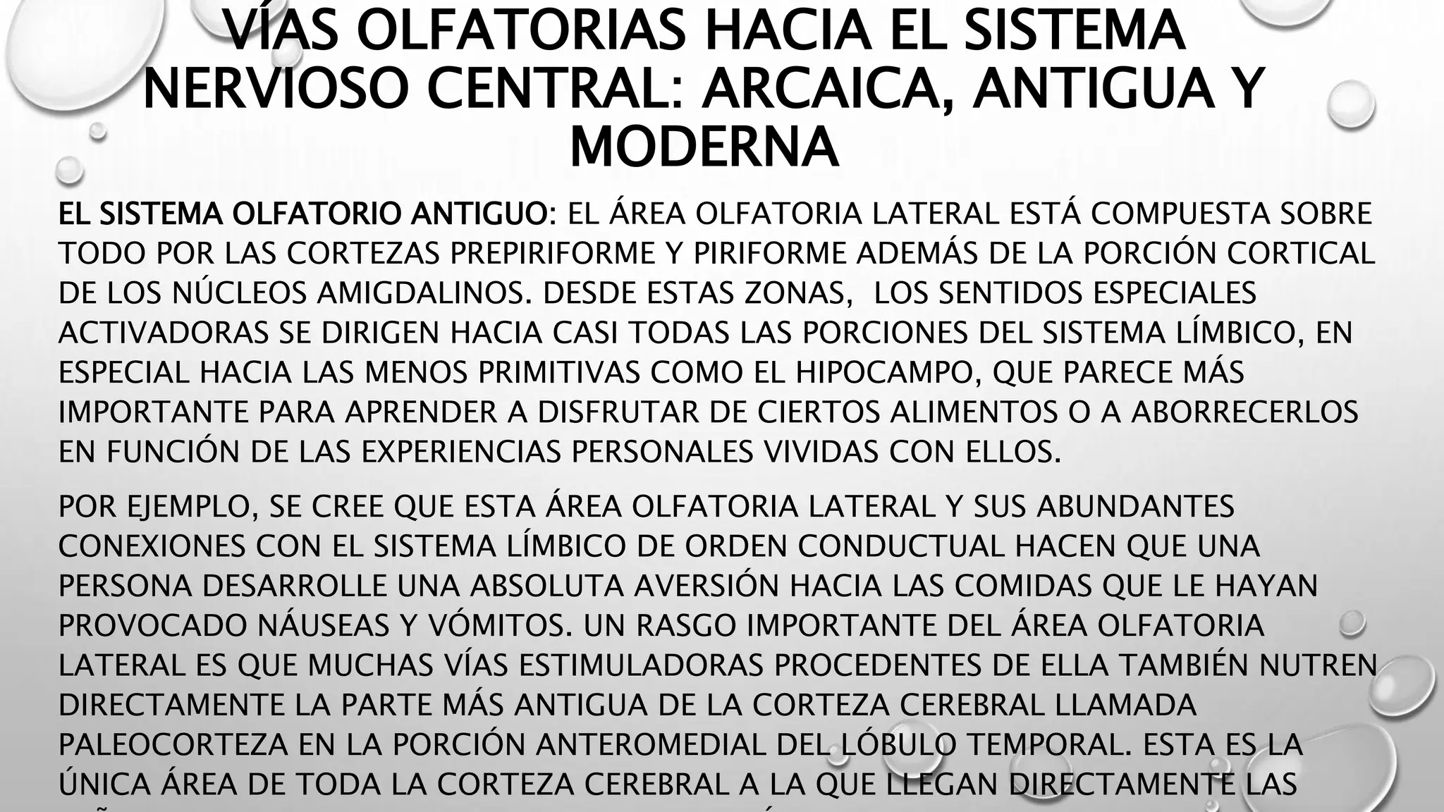 Sentidos del gusto y el olfato. Aparato nervioso | PPTX