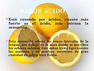 Sentidos gusto | PPT